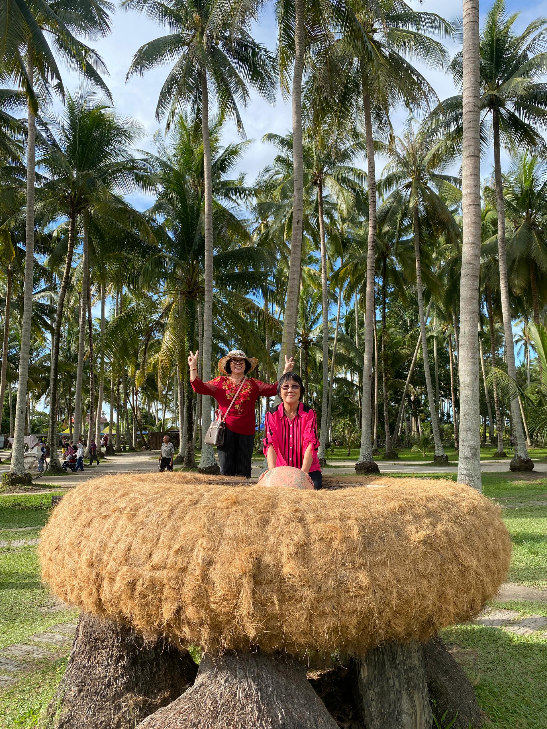 4D3N PENANG+PERLIS+KEDAH - ST Nivel Tour Sdn Bhd