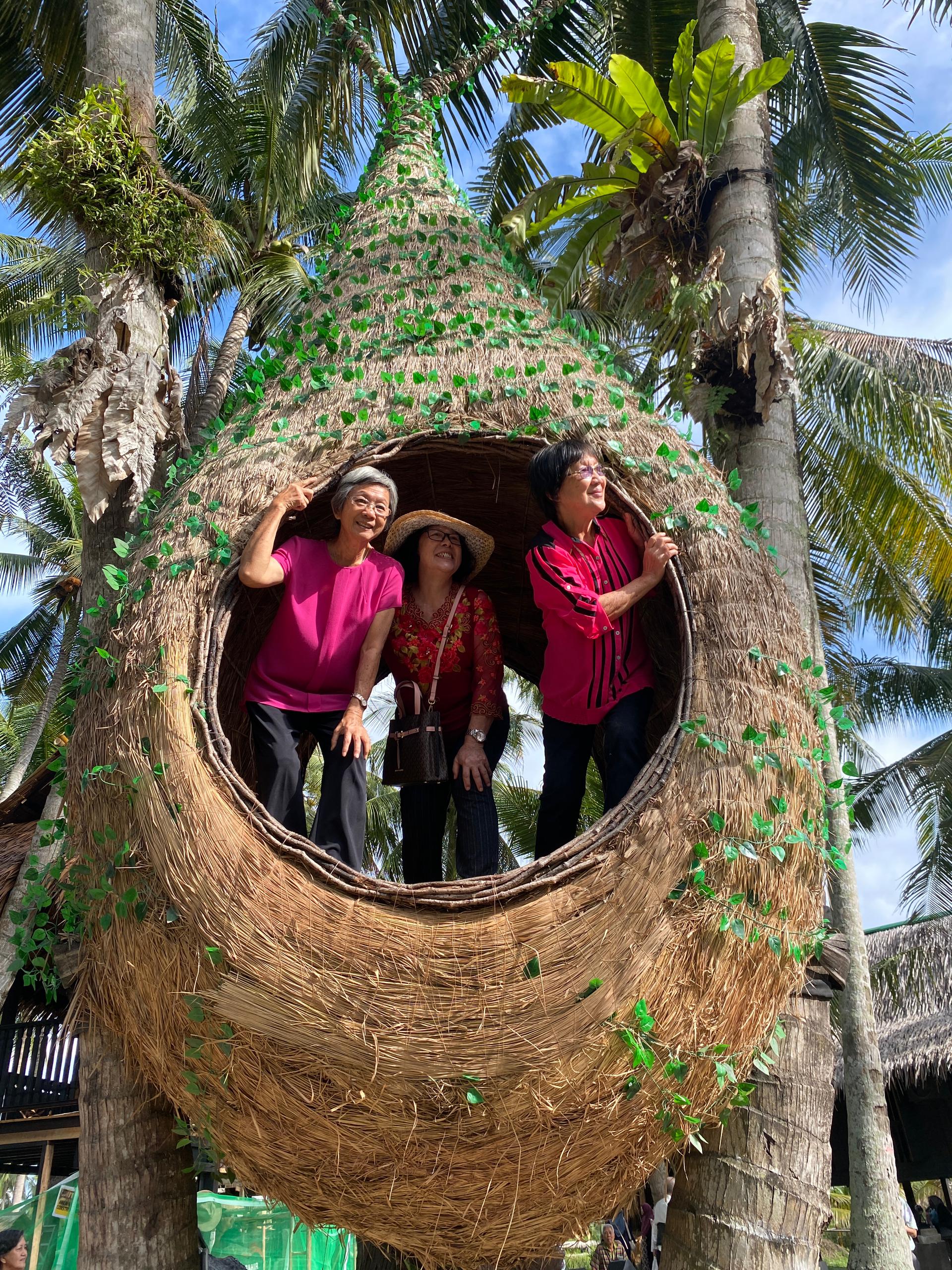 4D3N PENANG+PERLIS+KEDAH - ST Nivel Tour Sdn Bhd