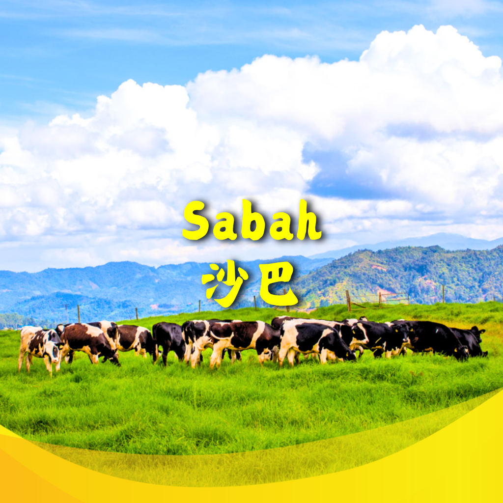 4D3N SABAH TOUR - ST Nivel Tour Sdn Bhd
